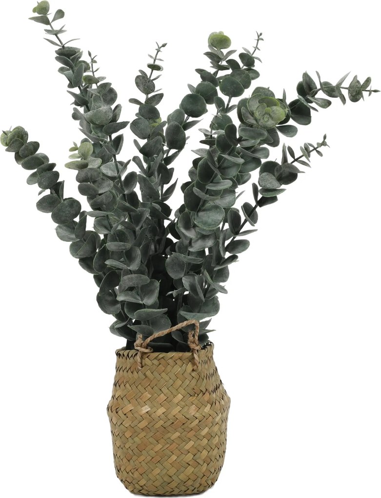 Umělá rostlina eukalyptu v košíku, 50 cm