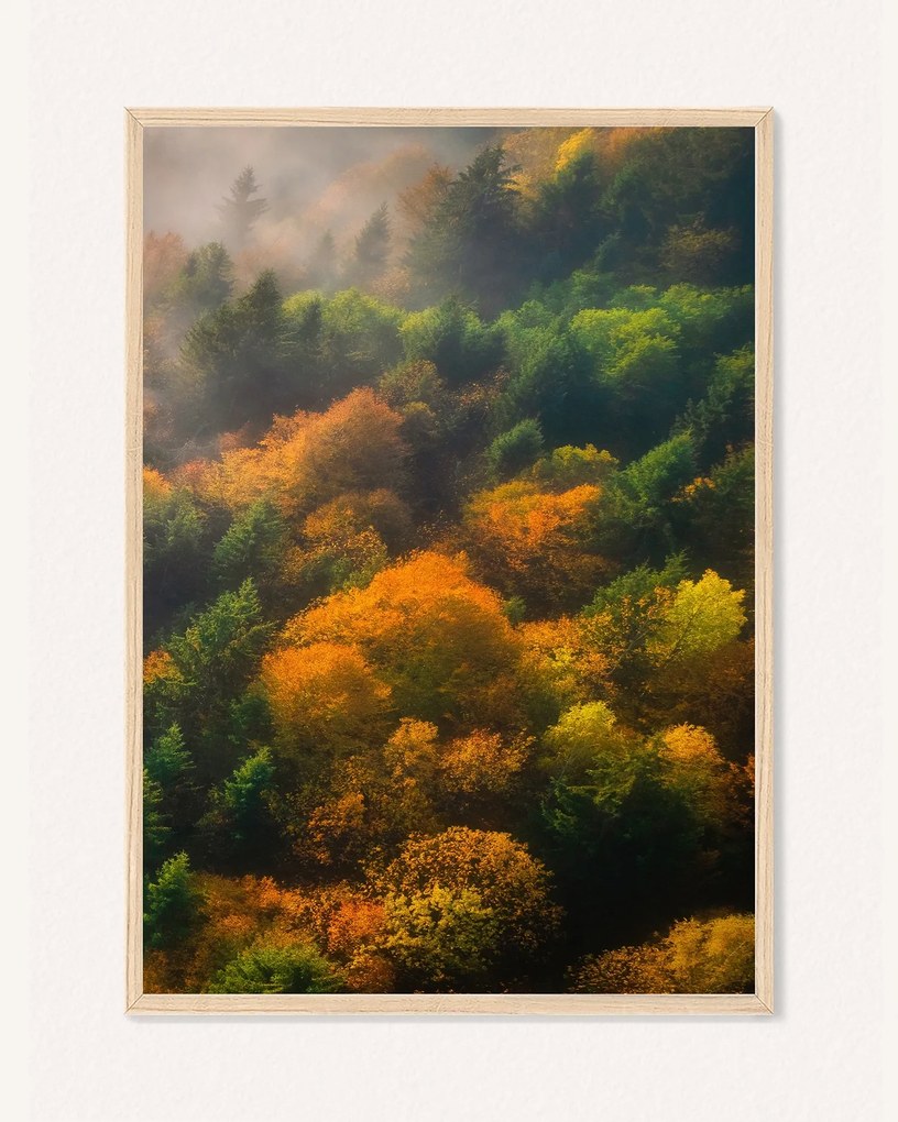 Oboustranný plakát Příroda | 30 x 42 cm | DP351465