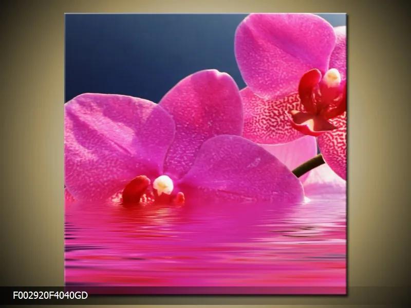 Obraz ponořených fialových květin  (), 40 dalších rozměrů