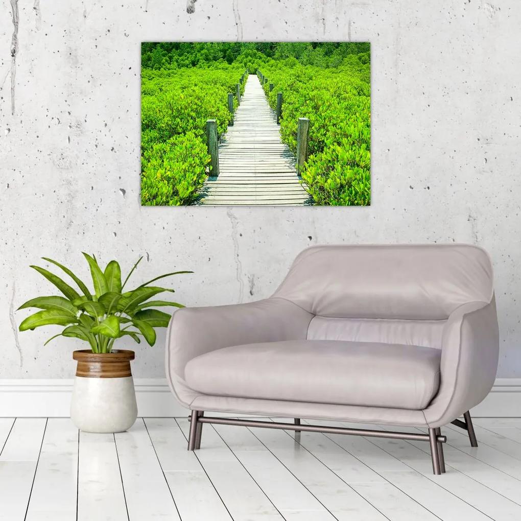 Skleněný obraz - dřevěný chodník (70x50 cm)