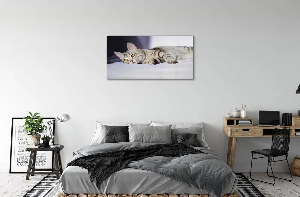 Obraz na skle ležící kočka 125x50 cm