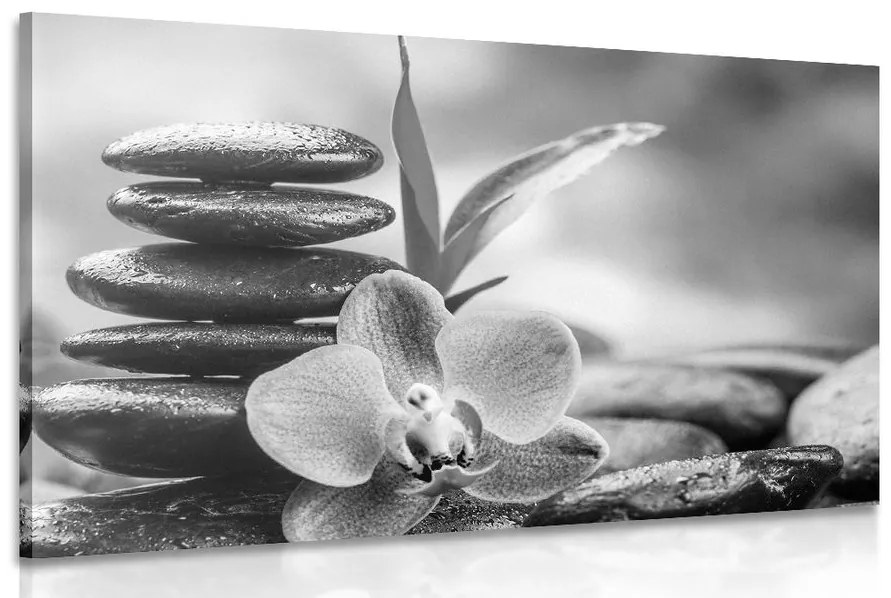 Obraz meditační Zen kompozice v černobílém provedení