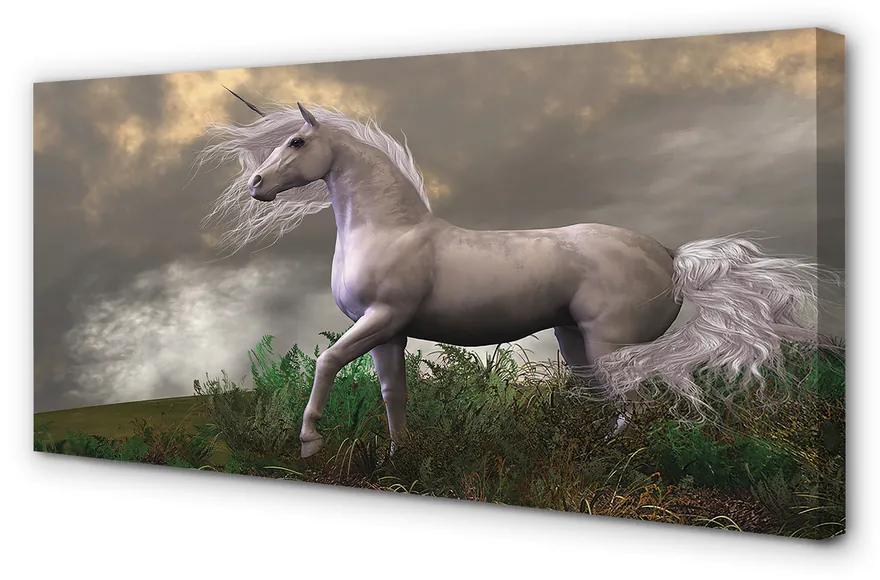 Obrazy na plátně Unicorn mraky 140x70 cm