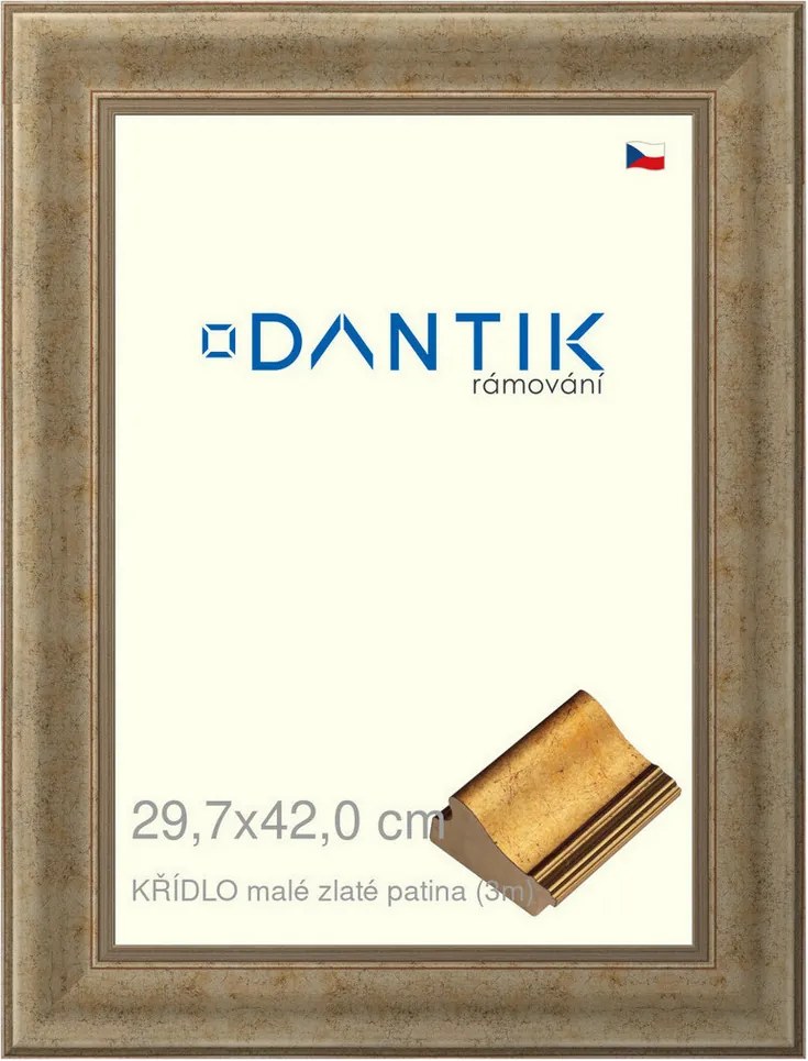 DANTIK rámeček 29,7x42 | KŘÍDLO malé zlaté patina (Plexi Čiré)