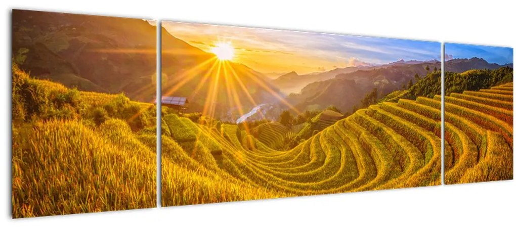 Obraz - Rýžové terasy ve Vietnamu (170x50 cm)
