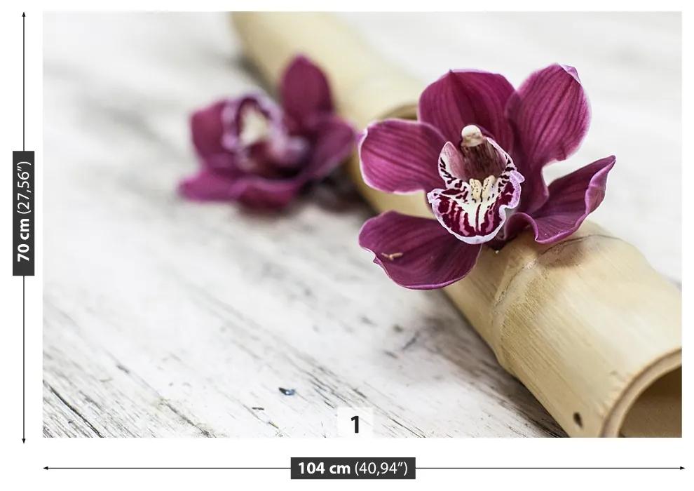 Fototapeta Orchidejové dřevo
