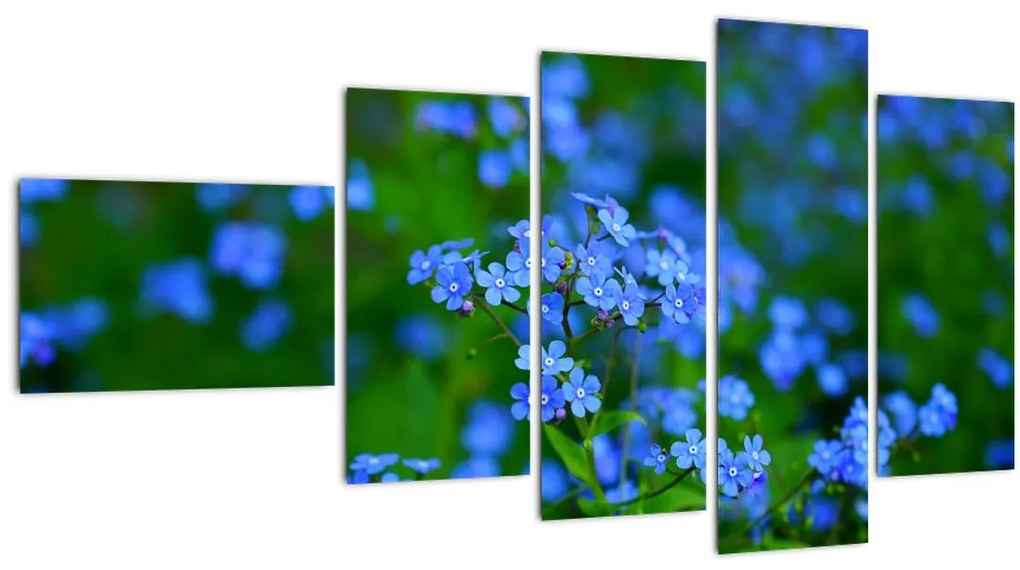 Obraz modrých květin (110x60 cm), 40 dalších rozměrů
