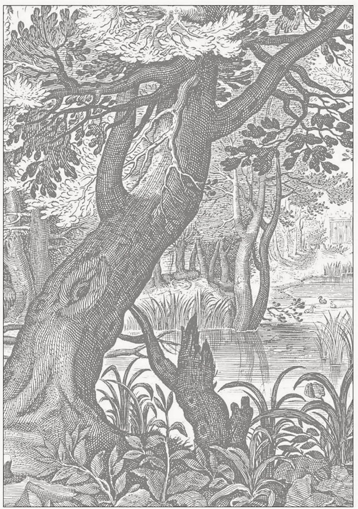 Tapeta Engraved Landscapes