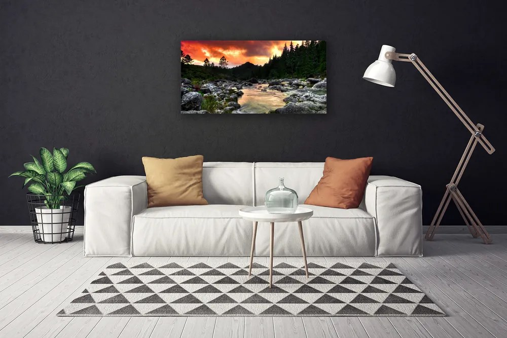 Obraz na plátně Jezero Kameny Les Příroda 100x50 cm
