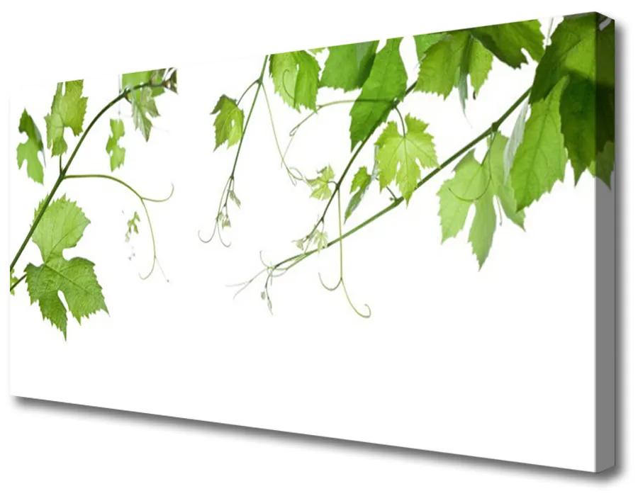 Obraz na plátně Větve Listy Příroda Květiny 120x60 cm