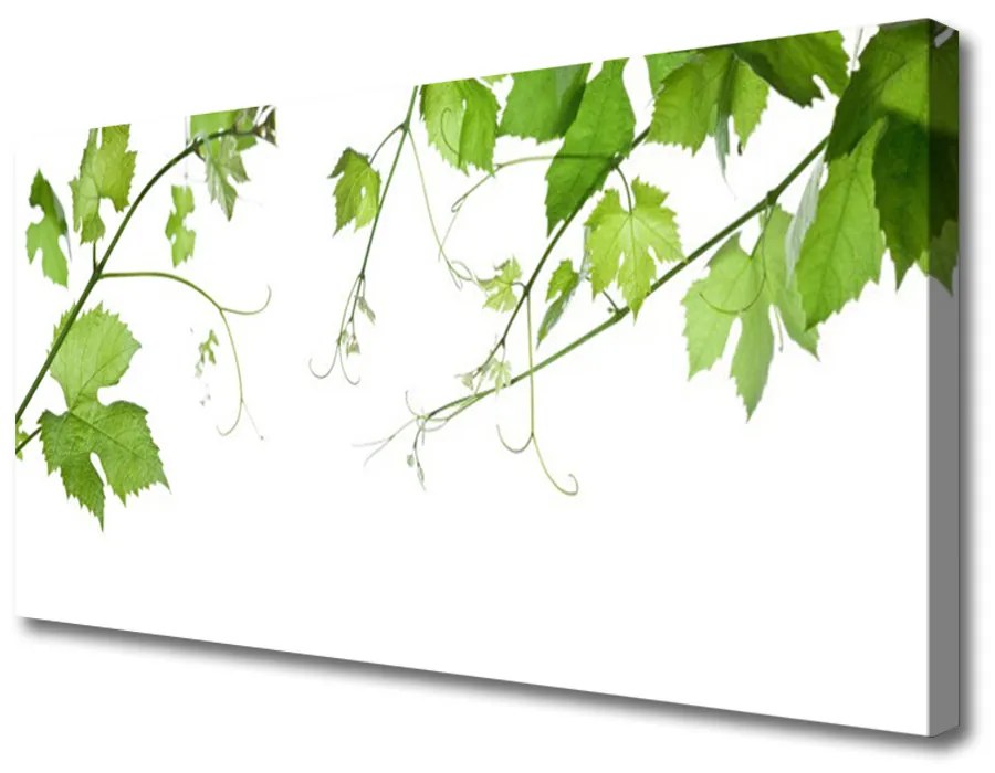 Obraz na plátně Větve Listy Příroda Květiny 125x50 cm