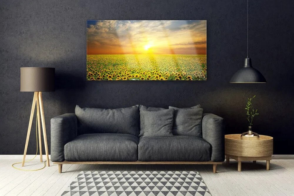 akrylový obraz Slunce Louka Slunečnice 120x60 cm