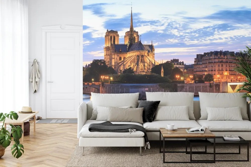 Fototapeta Paříž – Notre-Dame Hladký vinyl 254x184