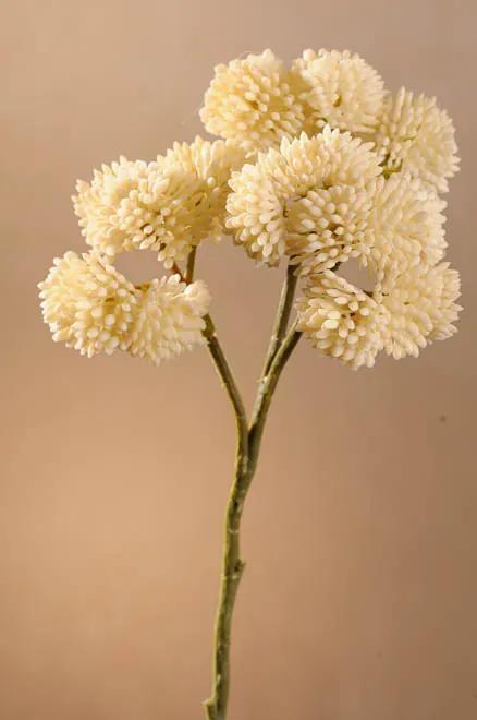 Paramit DRY WILD BERRY Aranžovací květina bílá 45 cm