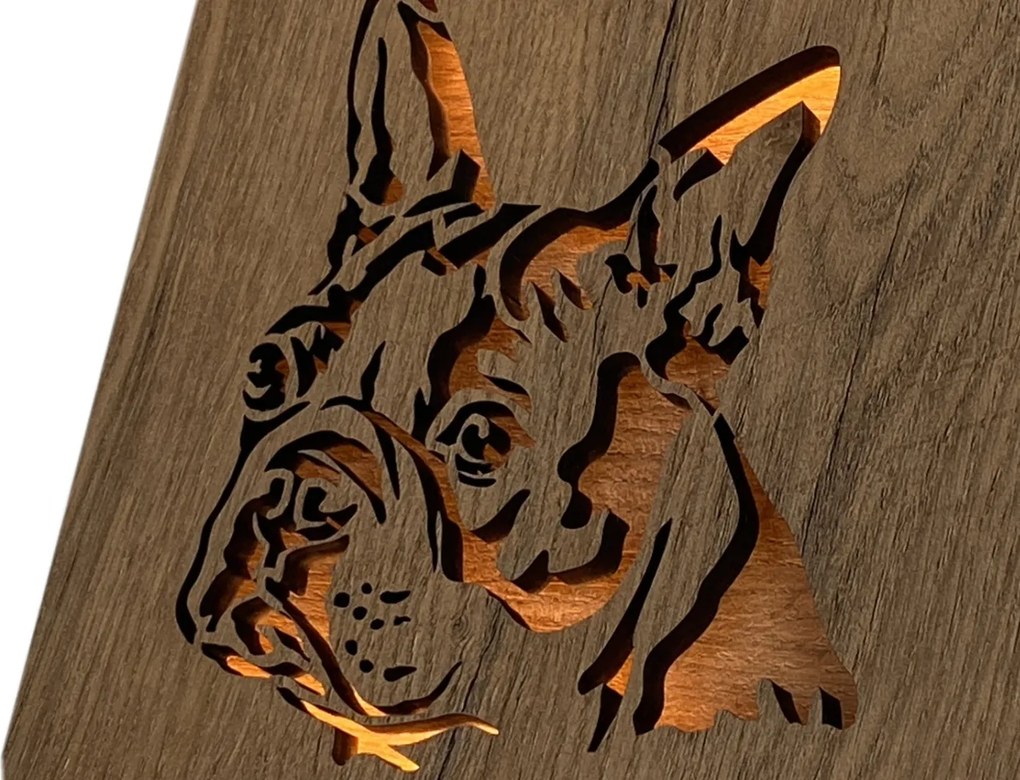 Li-Go "Buldoček" lampa 19x19 cm provedení povrchu: jedle