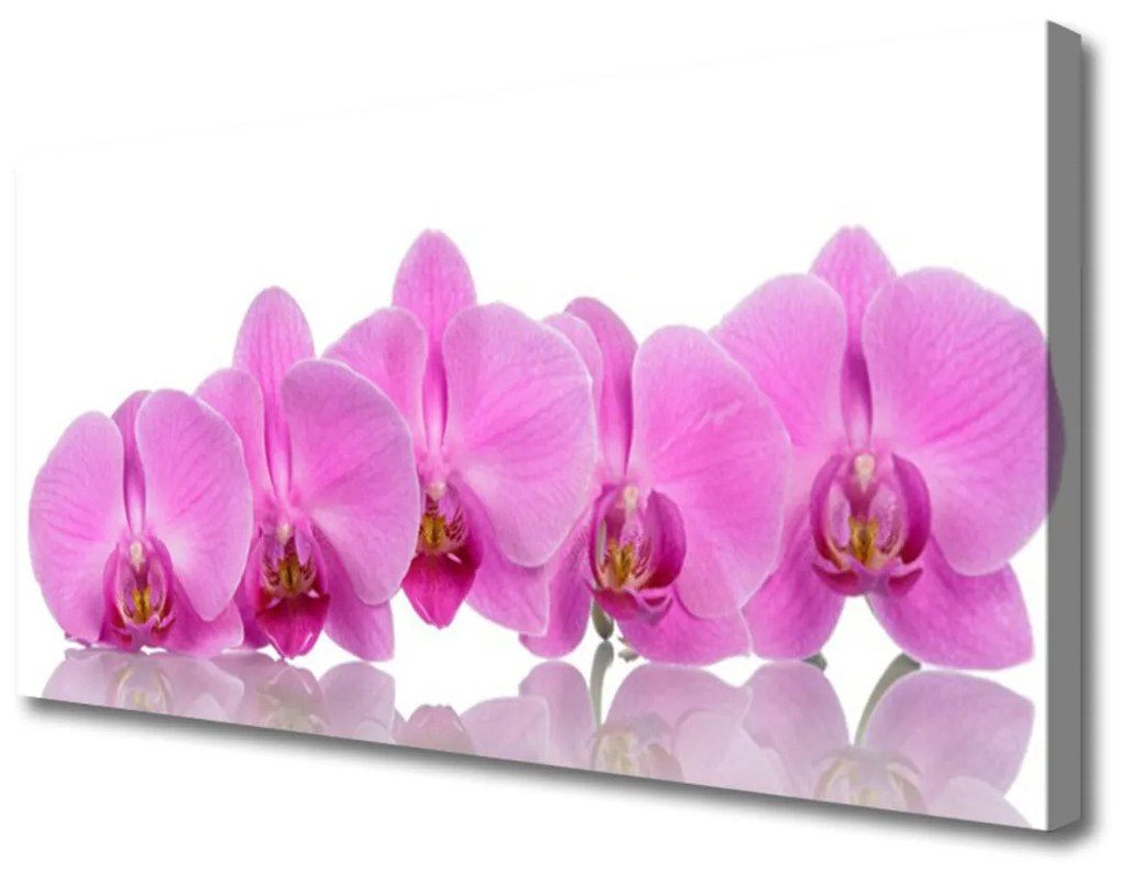 Obraz Canvas Růžová Orchidej Květiny