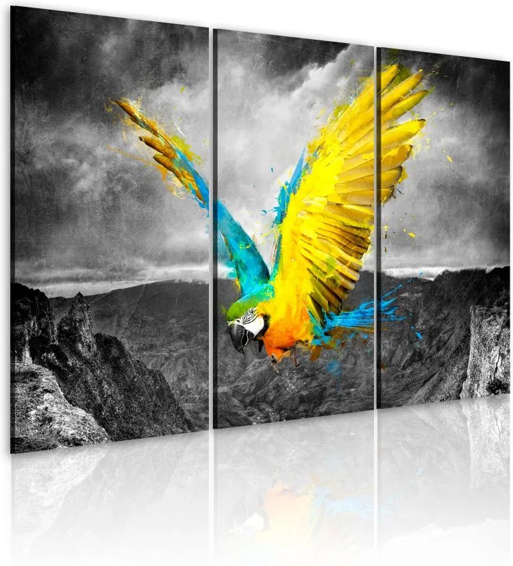 Obraz na plátně Bimago - Bird-of-paradise 60x40 cm