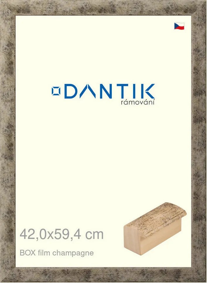DANTIK rámeček 42x59,4 | BOX film champagne (Plexi Čiré)