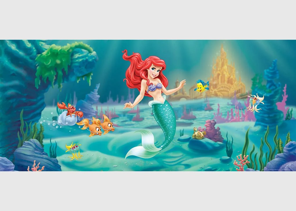 Dětská vliesová fototapeta na zed' Ariel pod vodou, Disney | 202 x 90 cm | DFTDNH 5320