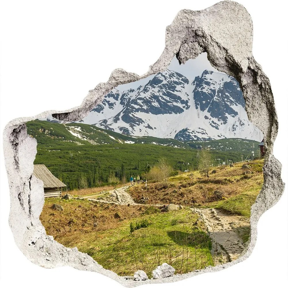 Wallmuralia Díra 3D ve zdi na stěnu Tatry 75x75 cm