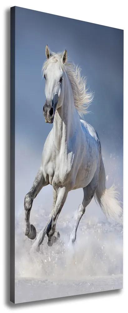 Wallmuralia Foto obraz na plátně Bílý kůň cval 50x125 cm