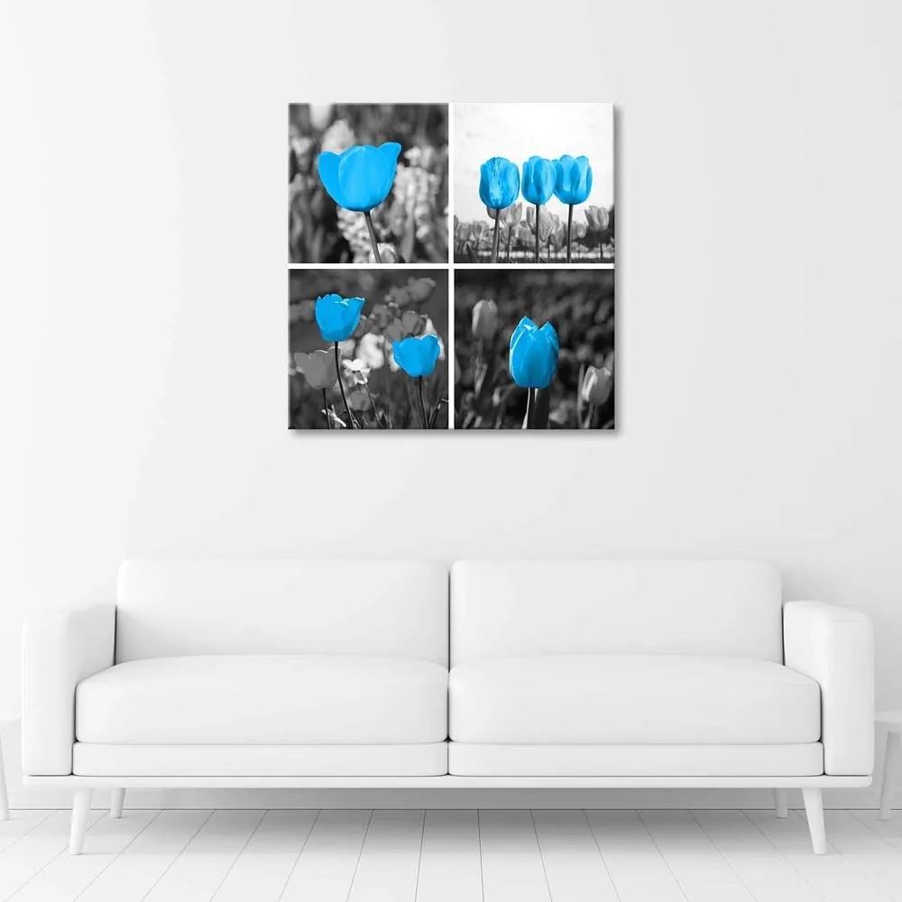 Obraz na plátně Sada modrých tulipánů - 60x60 cm