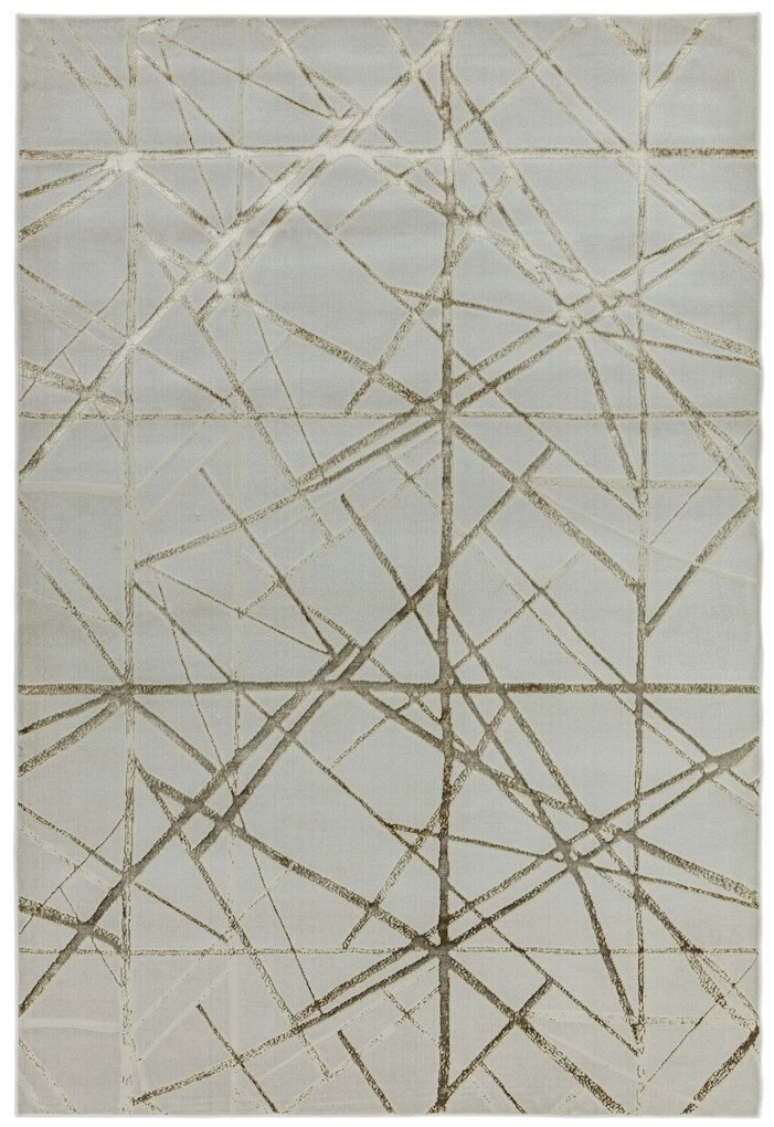Šedý koberec Beethoven Mica Rozměry: 120x170 cm
