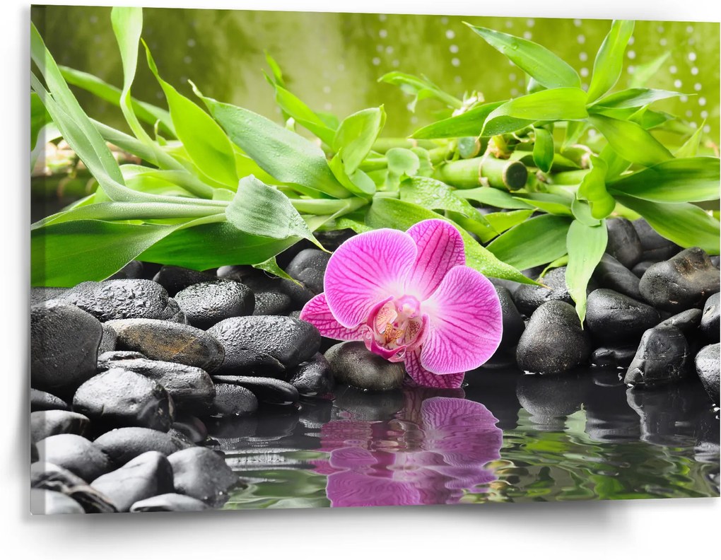 Obraz SABLO - Růžová orchidej 150x110 cm