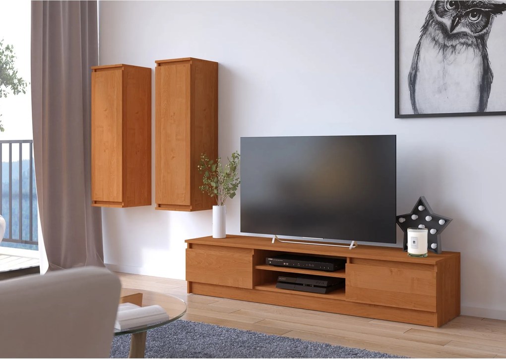 TV stolek Ronon 160 cm olše