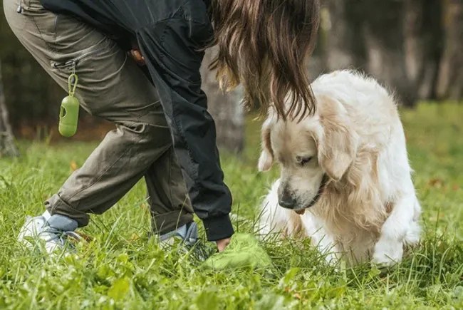 Pouzdro na sáčky pro psy GIZMO s rolkami (20 ks)