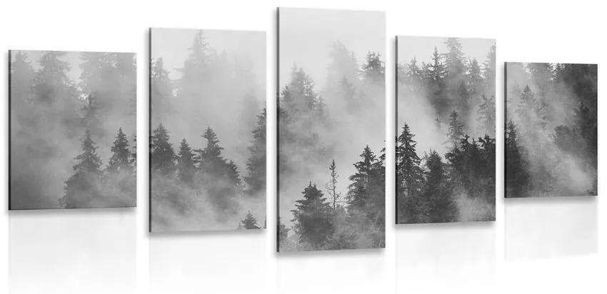 5-dílný obraz hory v mlze v černobílém provedení Varianta: 100x50