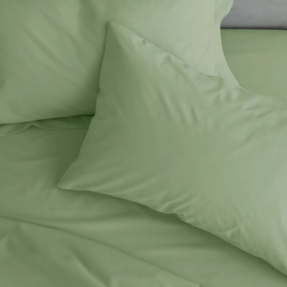 Perkálové povlaky na polštáře v sadě 2 ks 50x75 cm Easy Iron Percale – Catherine Lansfield