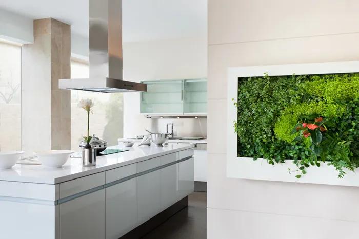 Obraz z živých rostlin Slimgreenwall® 120x80 cm, šedá Barva: Bílá