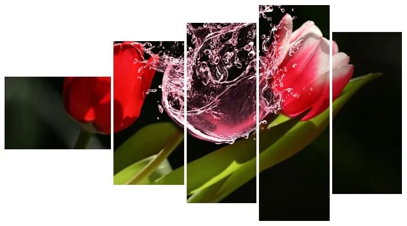 Krásný obraz tulipánů (110x60 cm), 40 dalších rozměrů