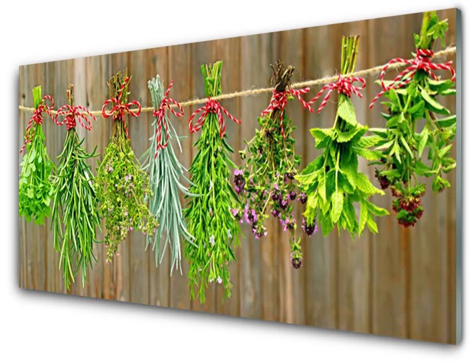 Obraz na skle Sušené Byliny Listy Příroda 100x50 cm
