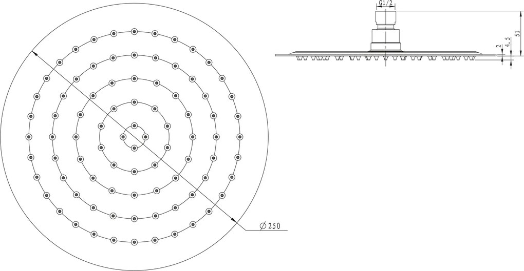 Sapho, SLIM hlavová sprcha, kruh, 250mm, nerez, MS574