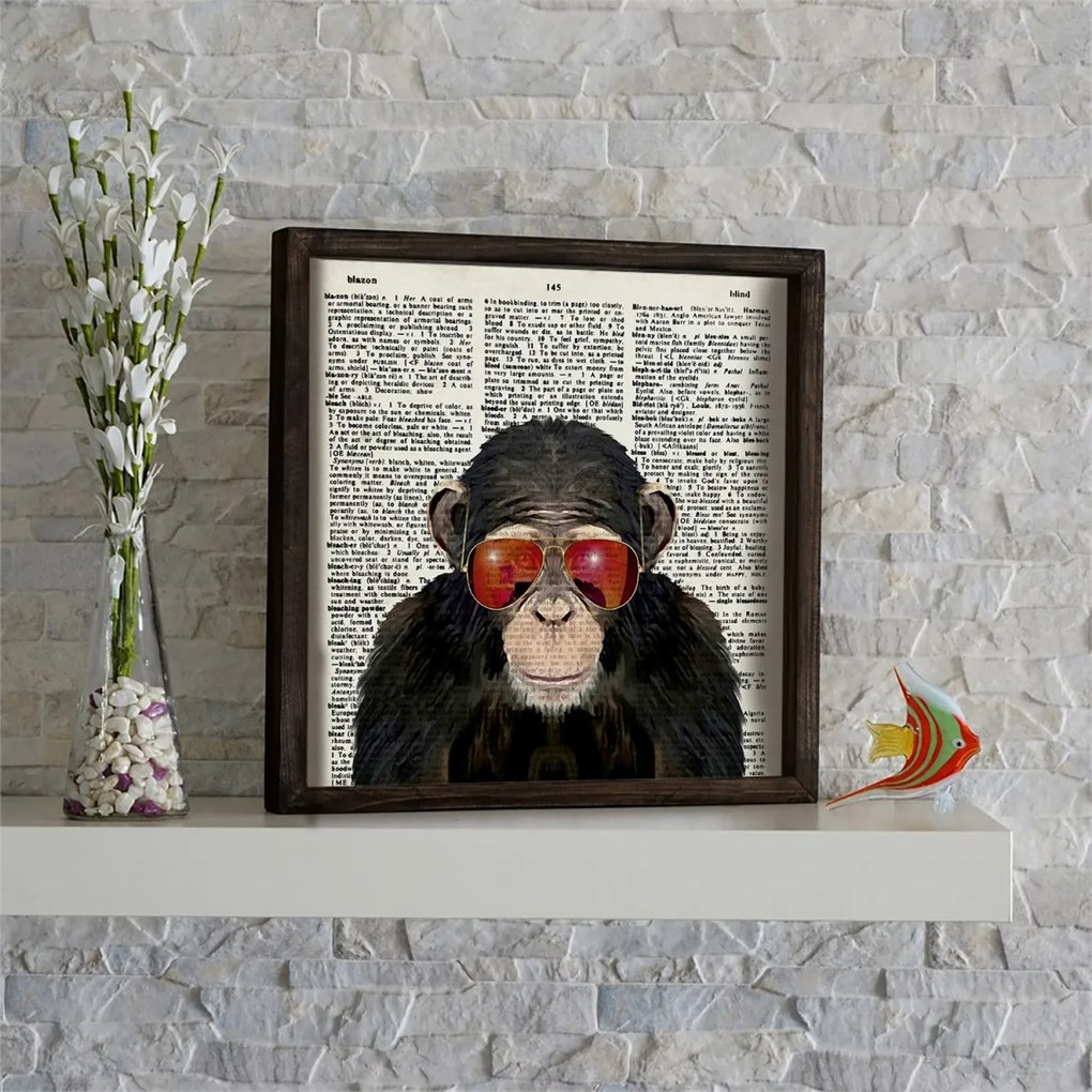 Nástěnný obraz Monkey 34x34 cm I