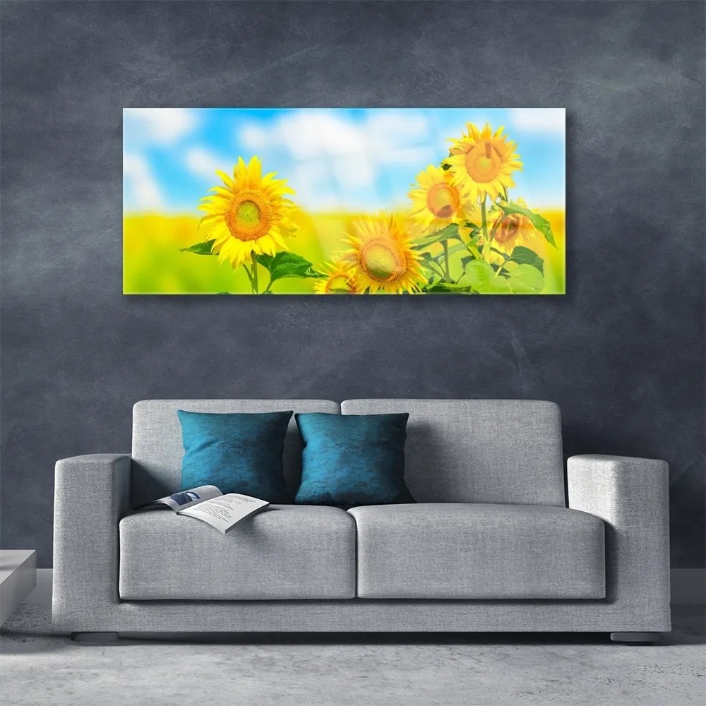 Plexisklo-obraz Slunečnice Květiny Příroda 125x50 cm