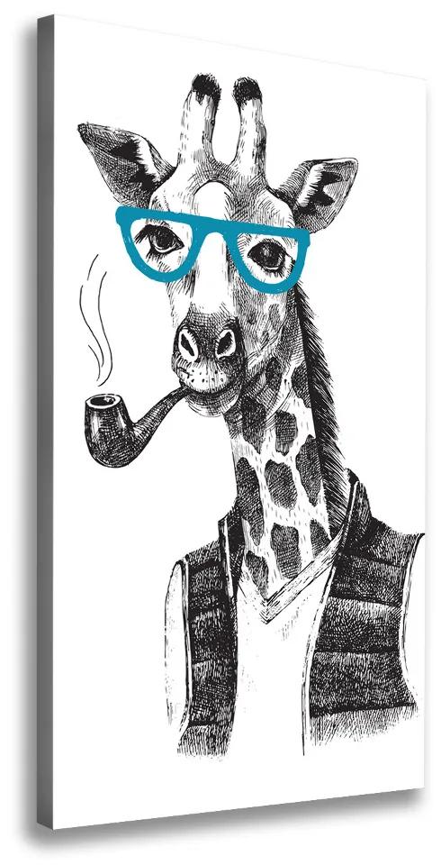 Wallmuralia Vertikální Foto obraz na plátně Žirafa v brýlích 50x100