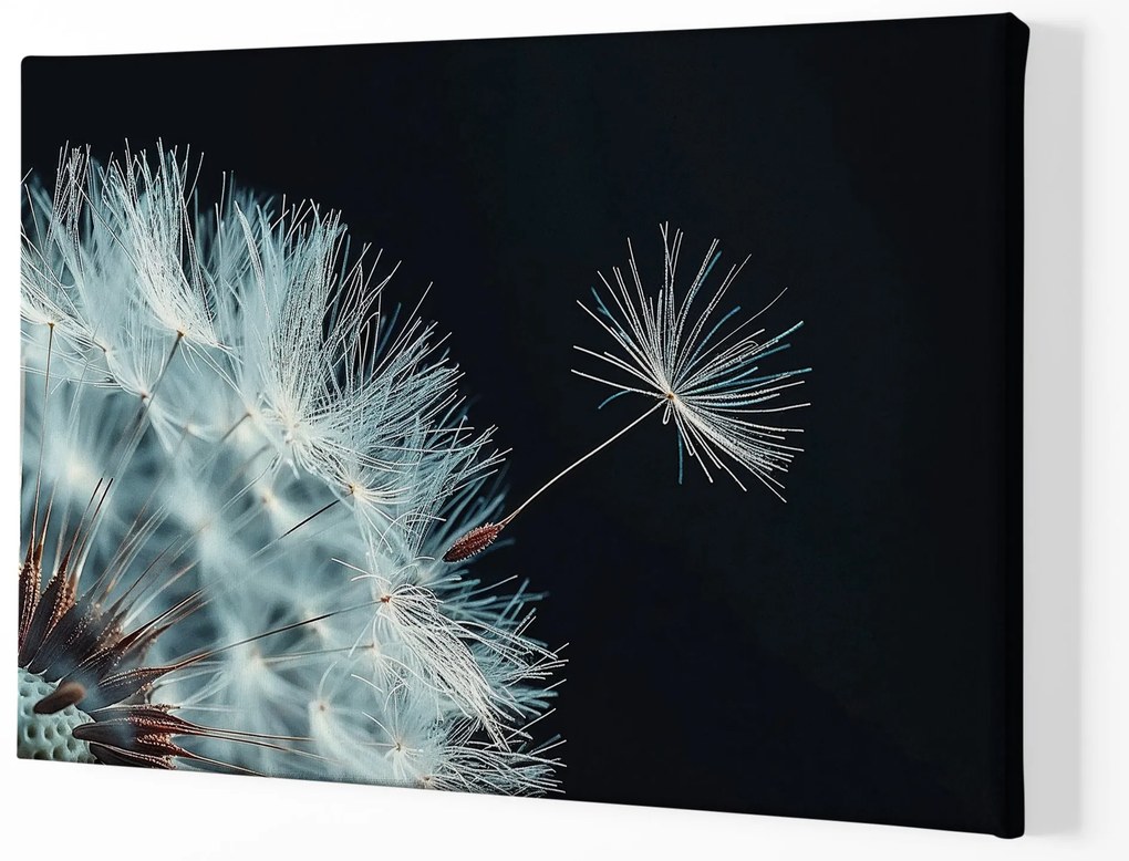 Obraz na plátně - Pampeliška letí dál FeelHappy.cz Velikost obrazu: 60 x 40 cm
