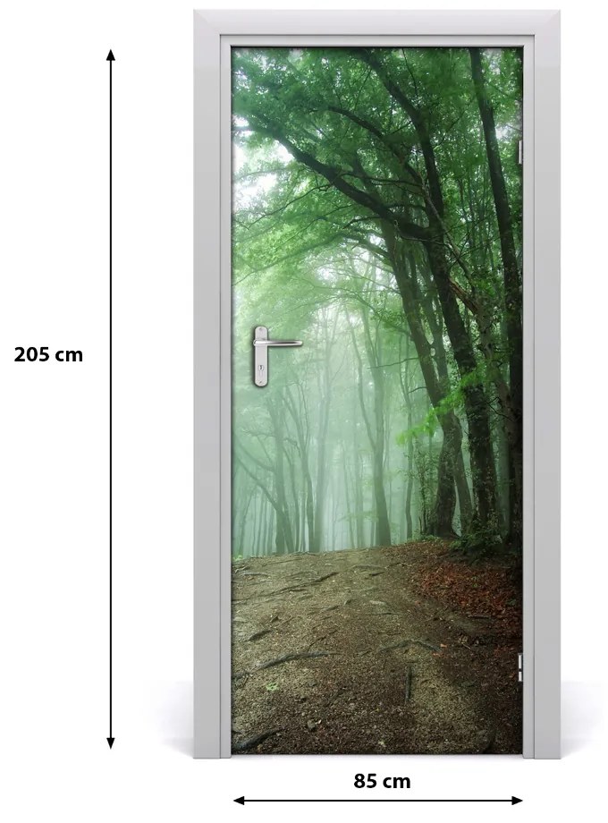 Fototapeta na dveře samolepící mlha v lese 85x205 cm
