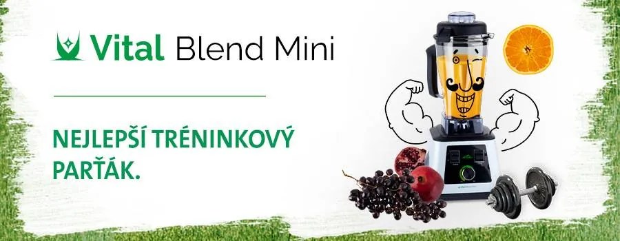Stolní mixér ETA Vital Blend Mini 2100 90000