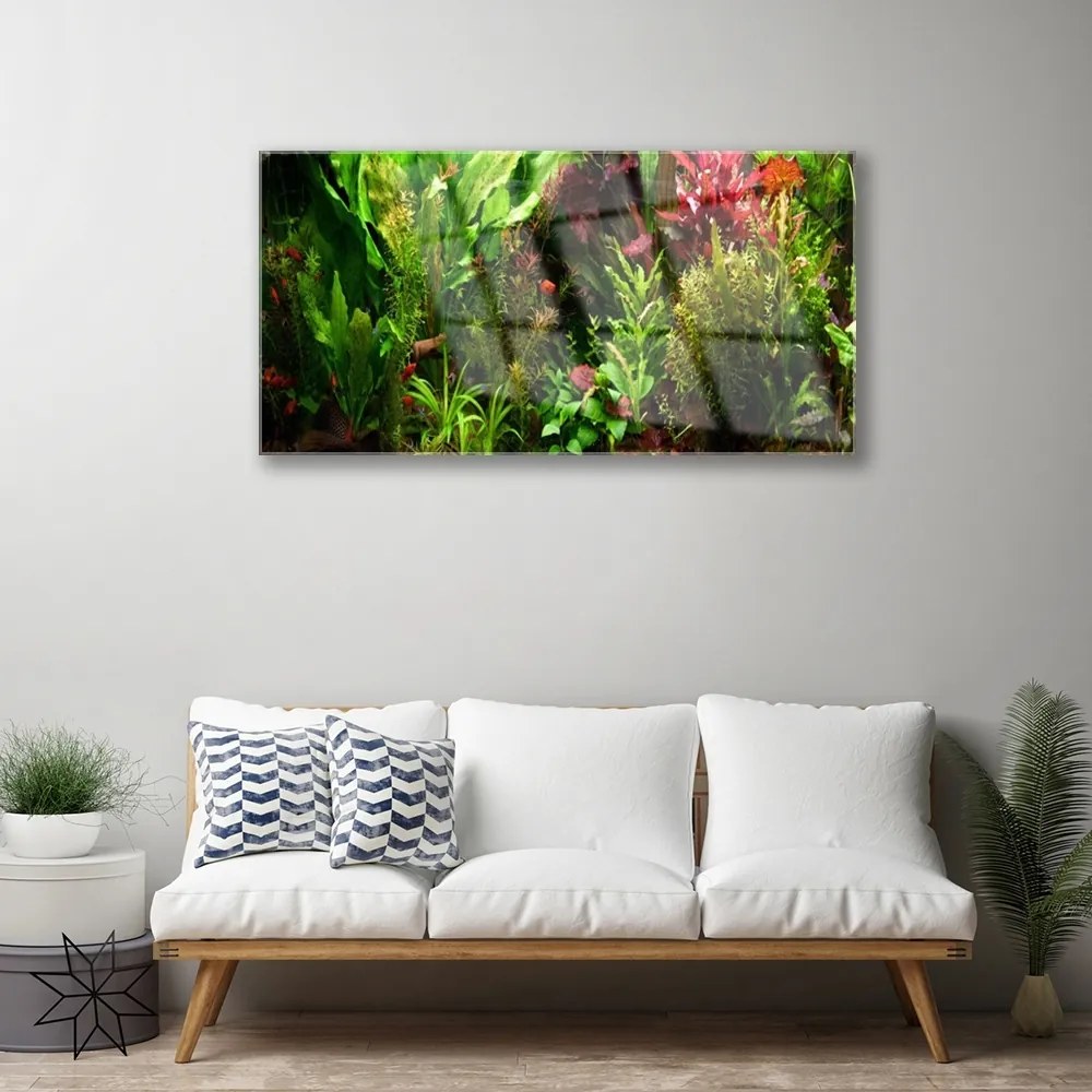 Obraz na skle Rostlina Květiny Příroda 100x50 cm