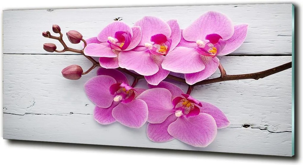 Foto obraz skleněný horizontální Orchidej a na stromě