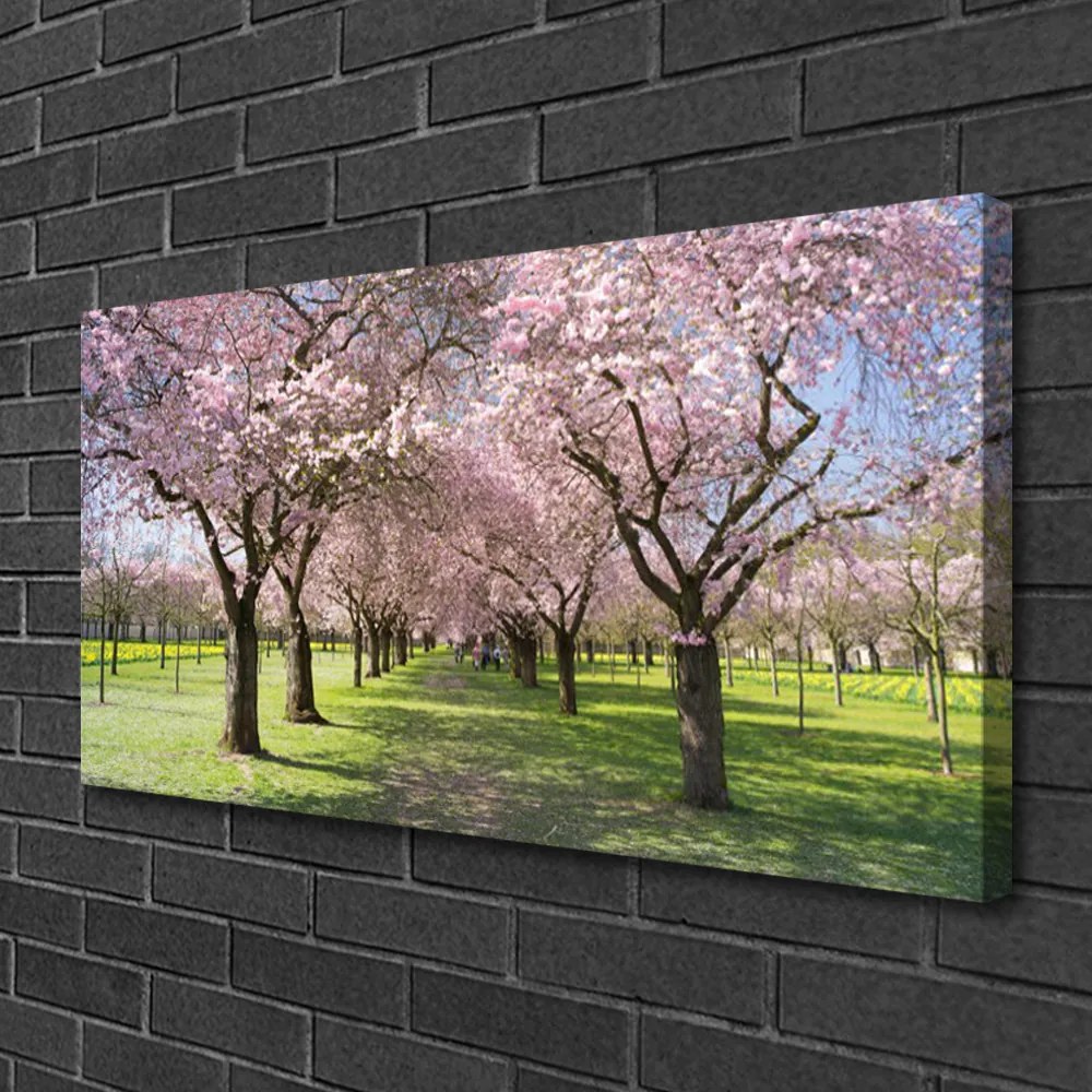 Obraz na plátně Stezka Stromy Příroda 100x50 cm