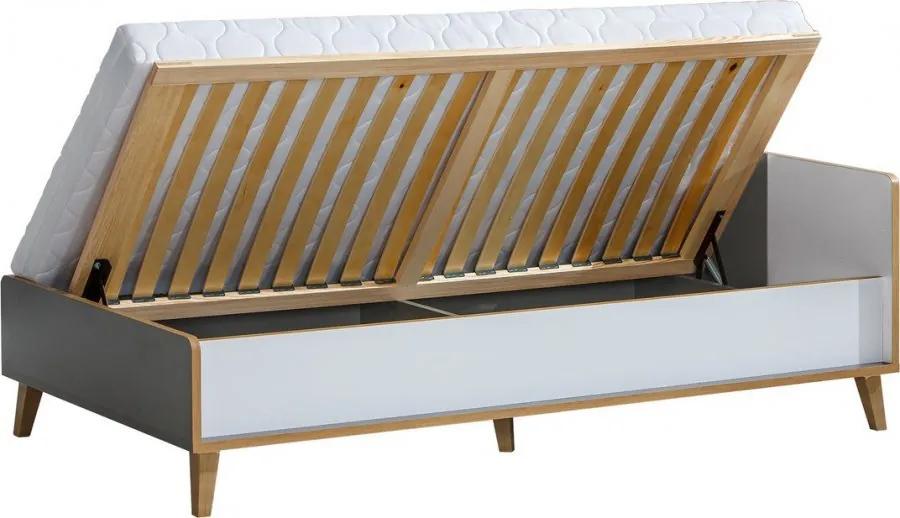 Casarredo - Komfort nábytek Dětská postel NAPOLA 10 s úložným prostorem, antracit/bílá/dub riviera