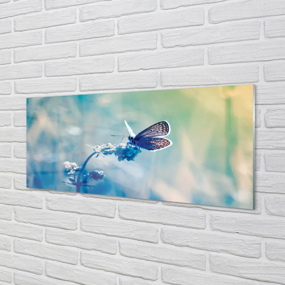 akrylový obraz barevný motýl 120x60 cm
