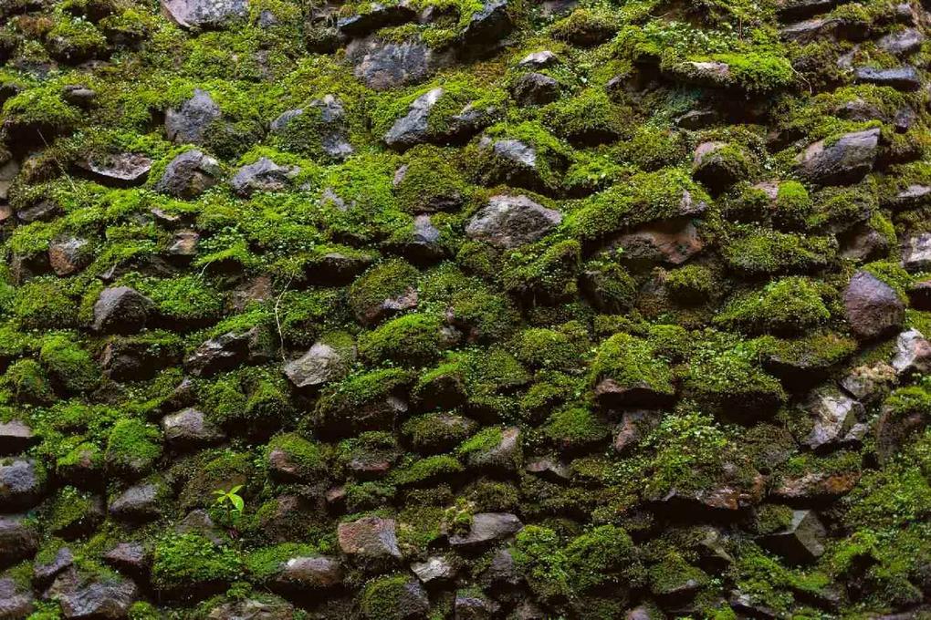 DIMEX | Samolepicí vliesová fototapeta na zeď Mech na kamenné zdi MA-5-2359 | 375 x 250 cm | zelená, hnědá