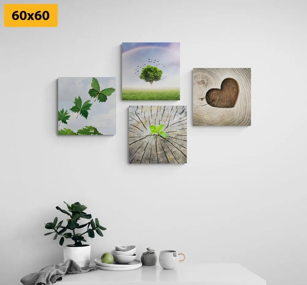 Set obrazů jedinečné zákoutí přírody - 4x 60x60 cm