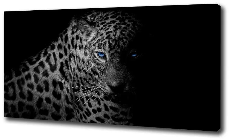 Wallmuralia Foto obraz na plátně Leopard 100x50